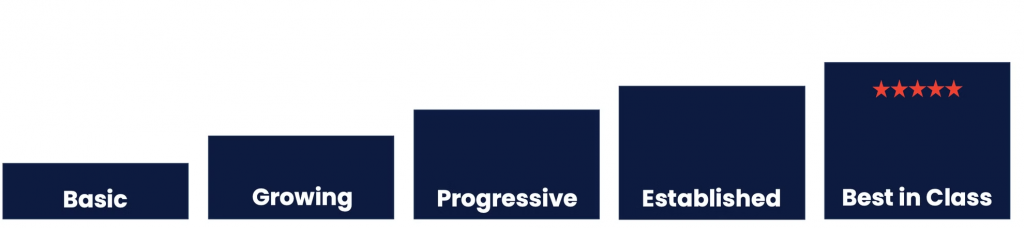 Procurement Maturity Assessment | Procurement Maturity Model Assessment ...